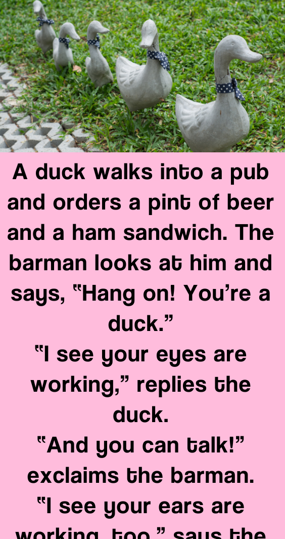 Plaster Duck - Daily Quotes and Jokes