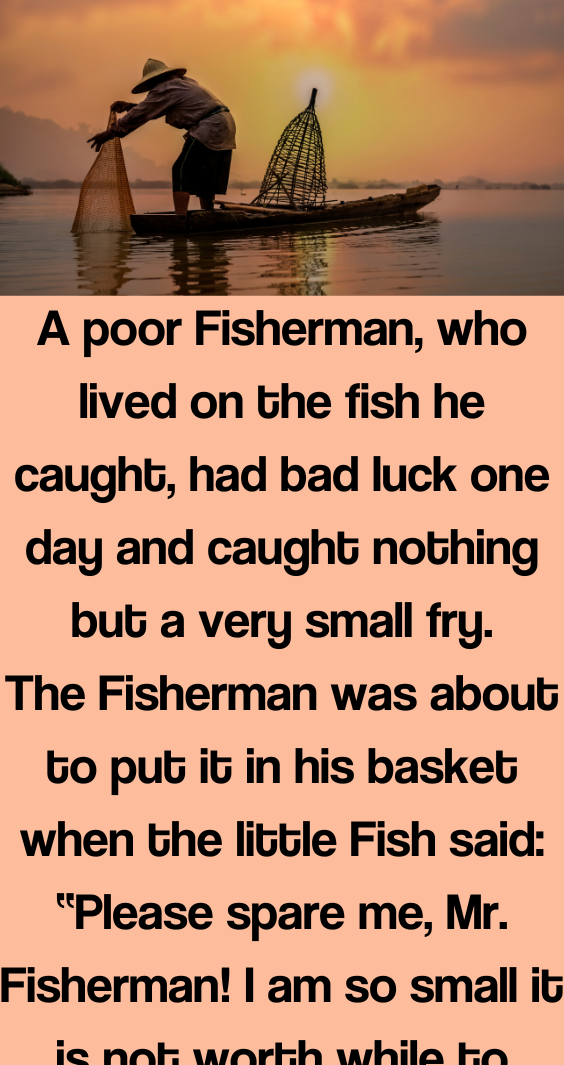 The Fisherman and the Little Fish - Daily Quotes and Jokes